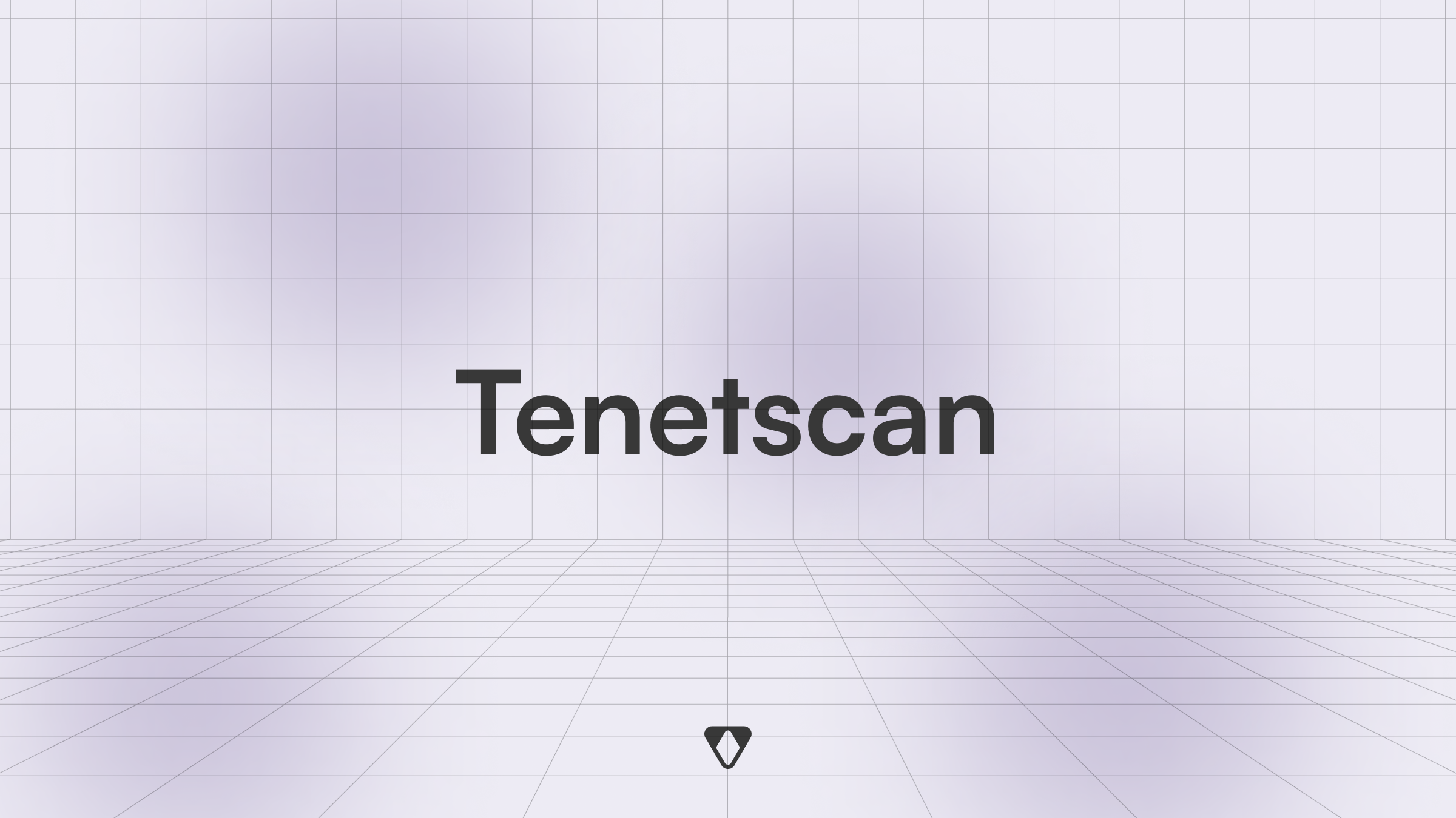 Tenet Mainnet top accounts